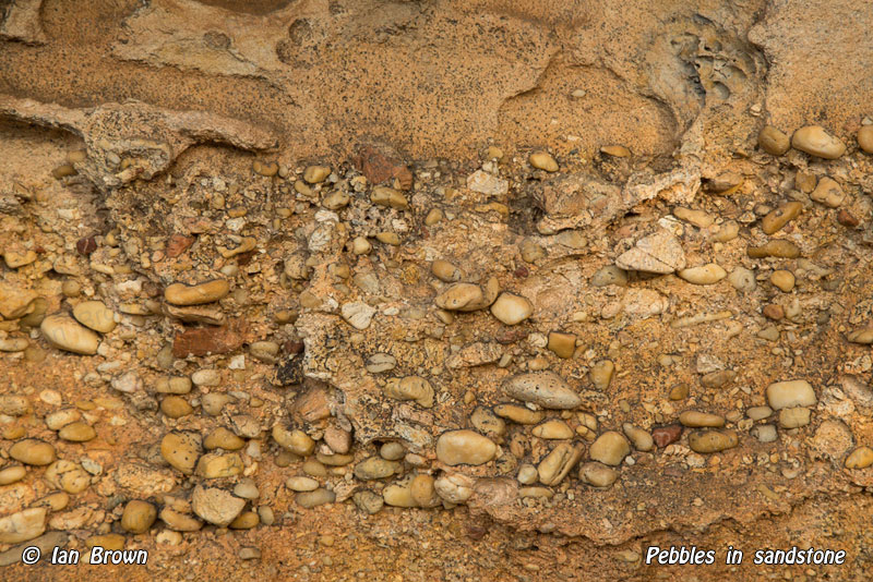 Blue Mountains nature - Blue Mountains Landscape - Geology
